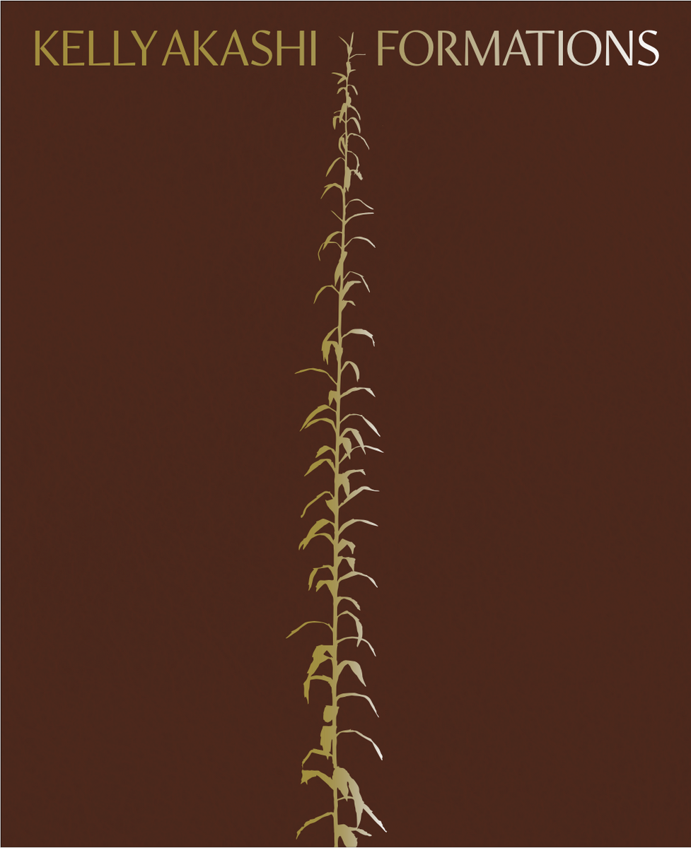 Kelly Akashi: Formations Exhibition Catalog + Limited Edition Print ...